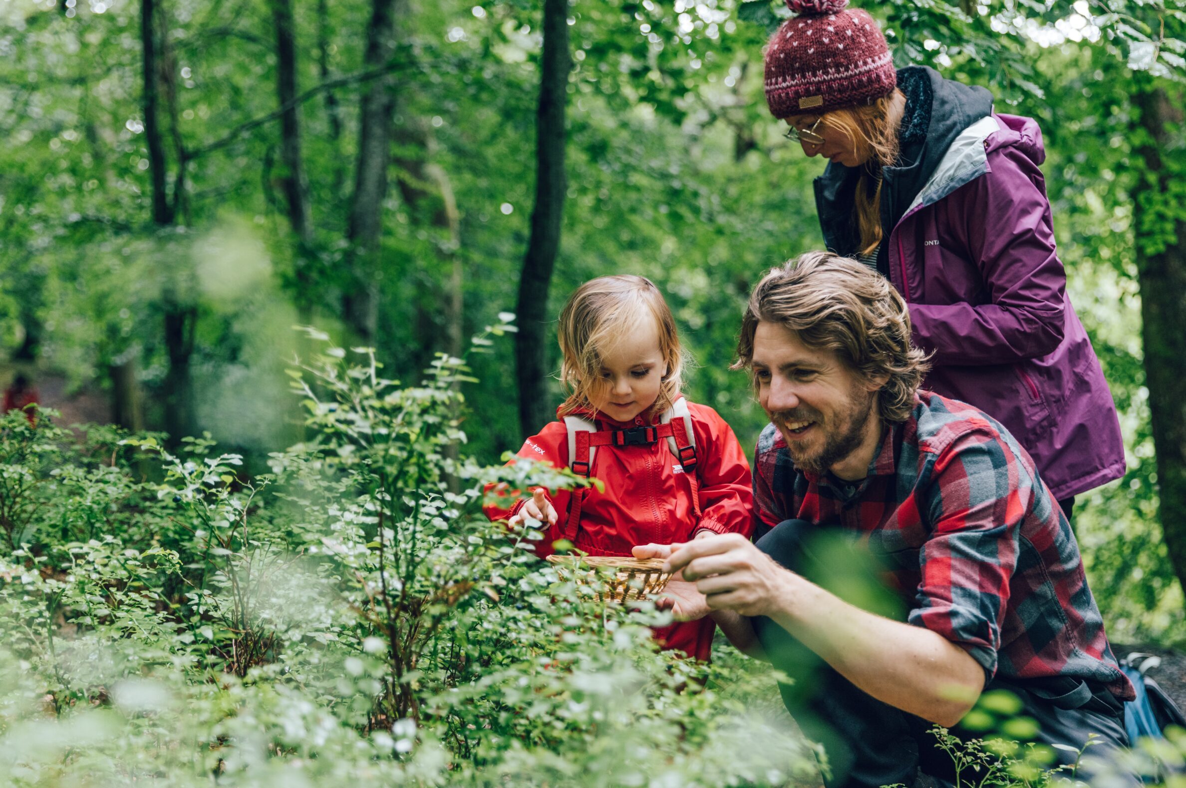 Joint/Family – Snowdonia Society