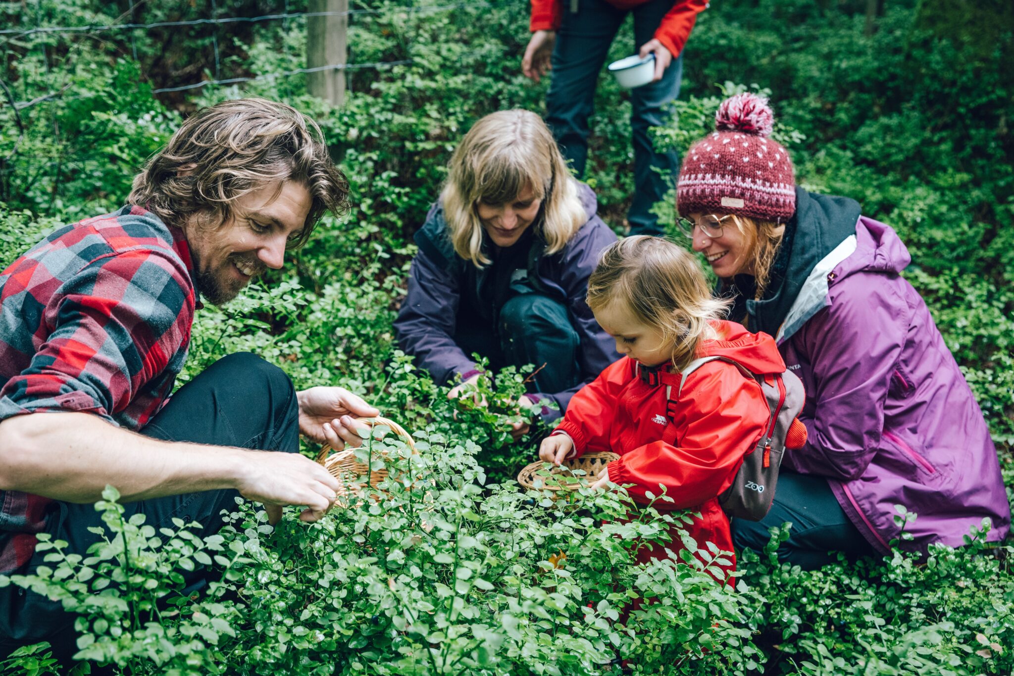 Leave a legacy to Snowdonia - Snowdonia Society