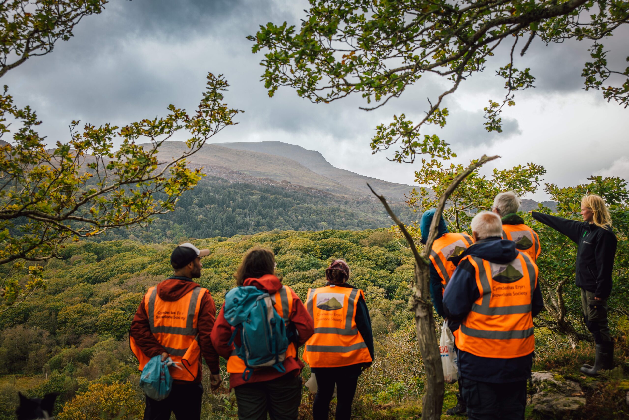 Gwirfoddolwch - Snowdonia Society