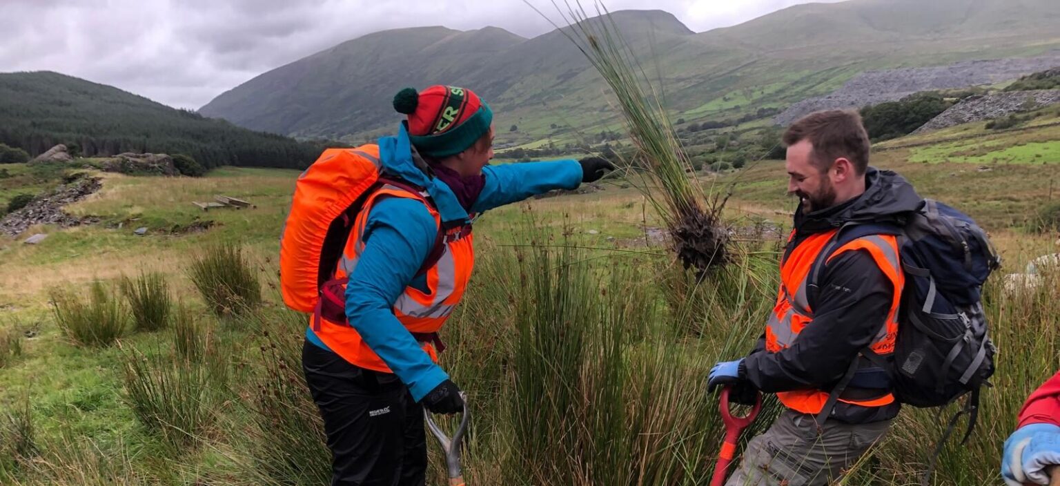 Snowdonia Society
